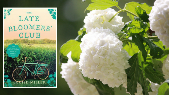 An Interview With Author Louise Miller and Book Giveaway of The Late ...